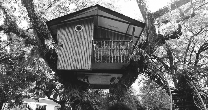 Schulqualität verlangt Quartierqualität – Saiten – Ostschweizer ...